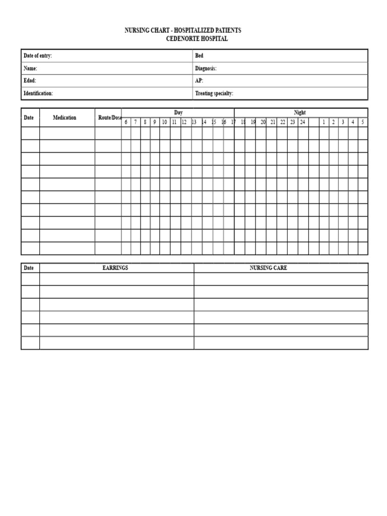 Nursing Chart for Hospital Patients | PDF