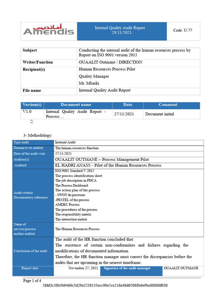 G6-MRApx-Internal commercial audit report | PDF | Audit | Auditor's Report