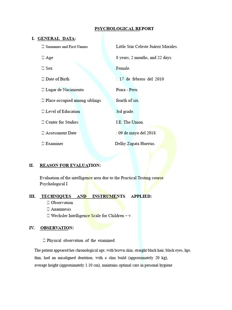 WISC V Report | PDF | Working Memory | Attention
