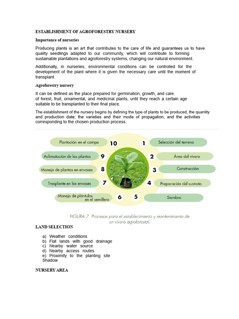 Establishment of An Agroforestry Nursery | PDF | Plant Nursery | Seedling