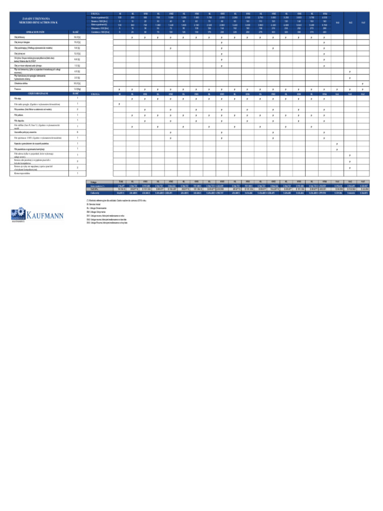 Pauta Wydatkowa - Actros 3336 K | PDF
