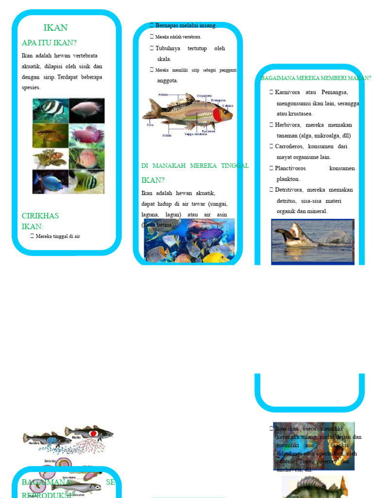 Ciri dan Klasifikasi Ikan Akurat | PDF