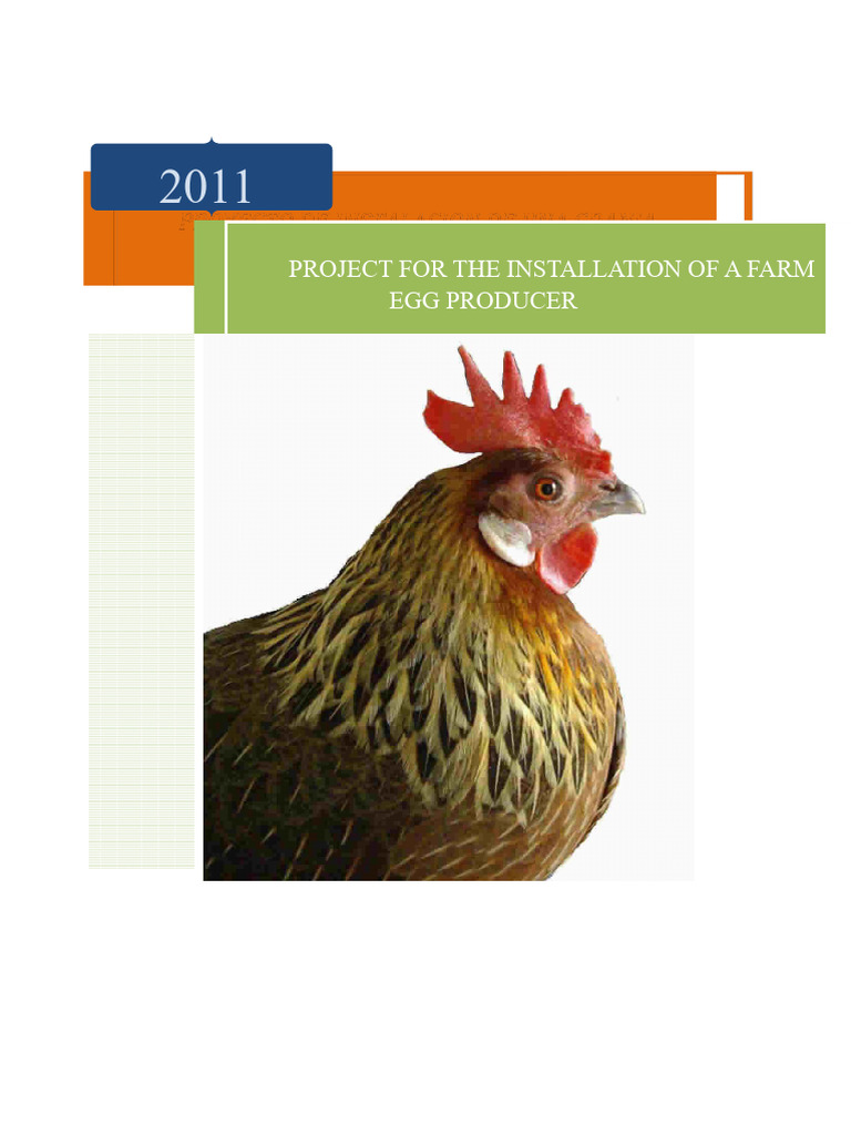 Chicken Project | PDF | Chicken | Poultry