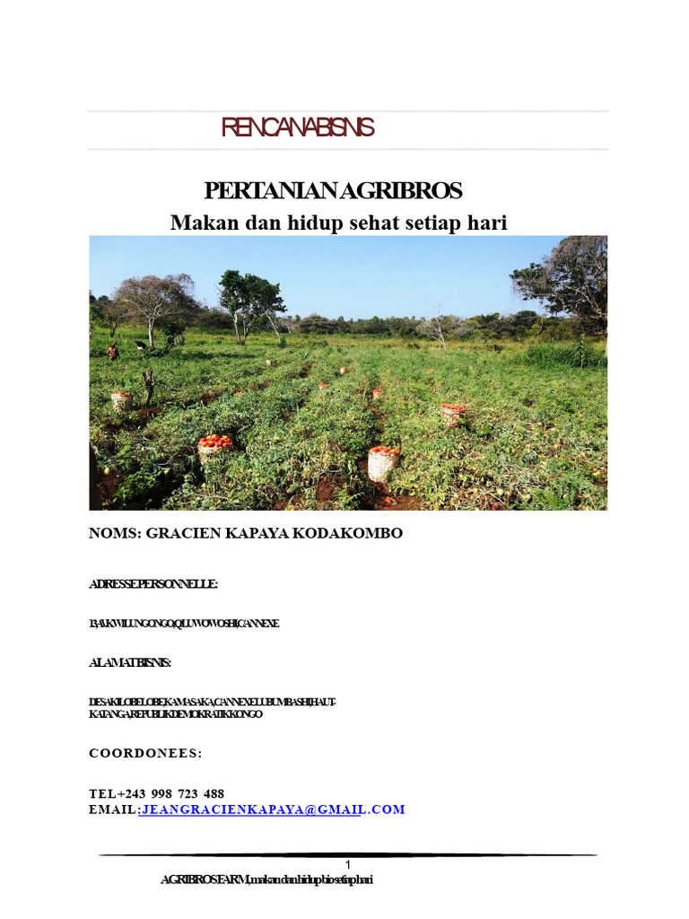 Rencana Bisnis Gracien Kapaya | PDF