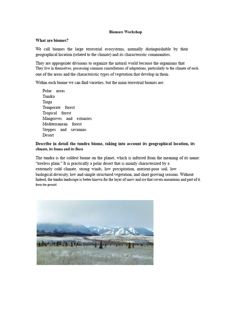 Tundra Biomes | PDF | Earth Sciences | Natural Environment