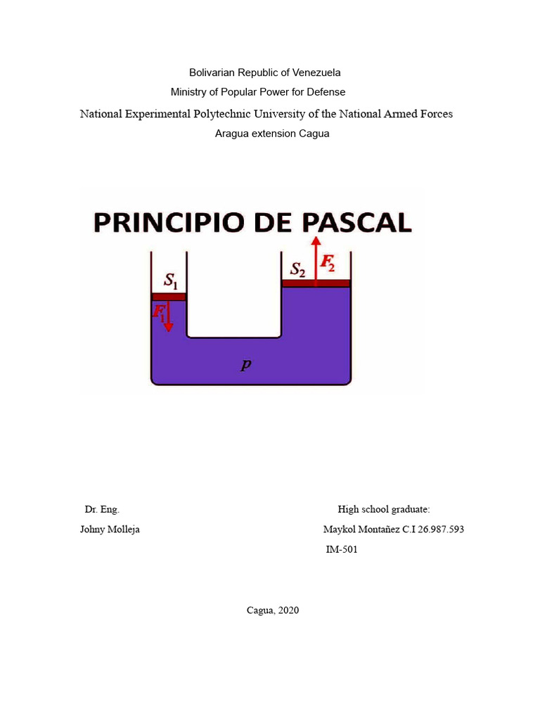 Essay No. 1 Pascal's Principle | PDF | Pressure | Liquids