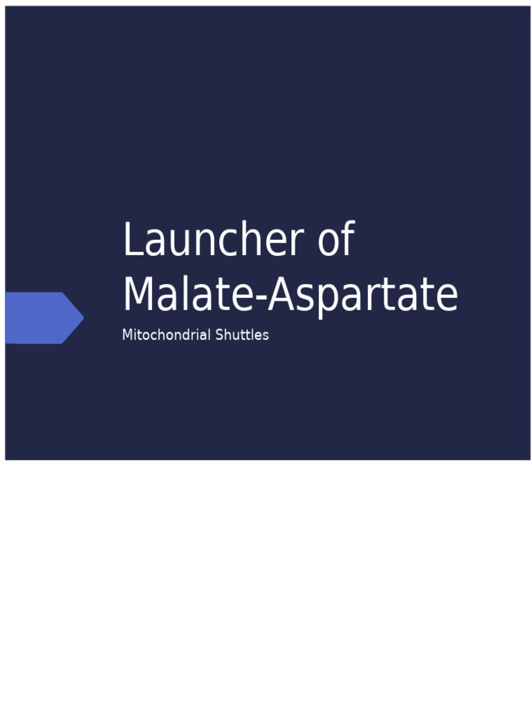 Malate-Aspartate Shuttle | PDF