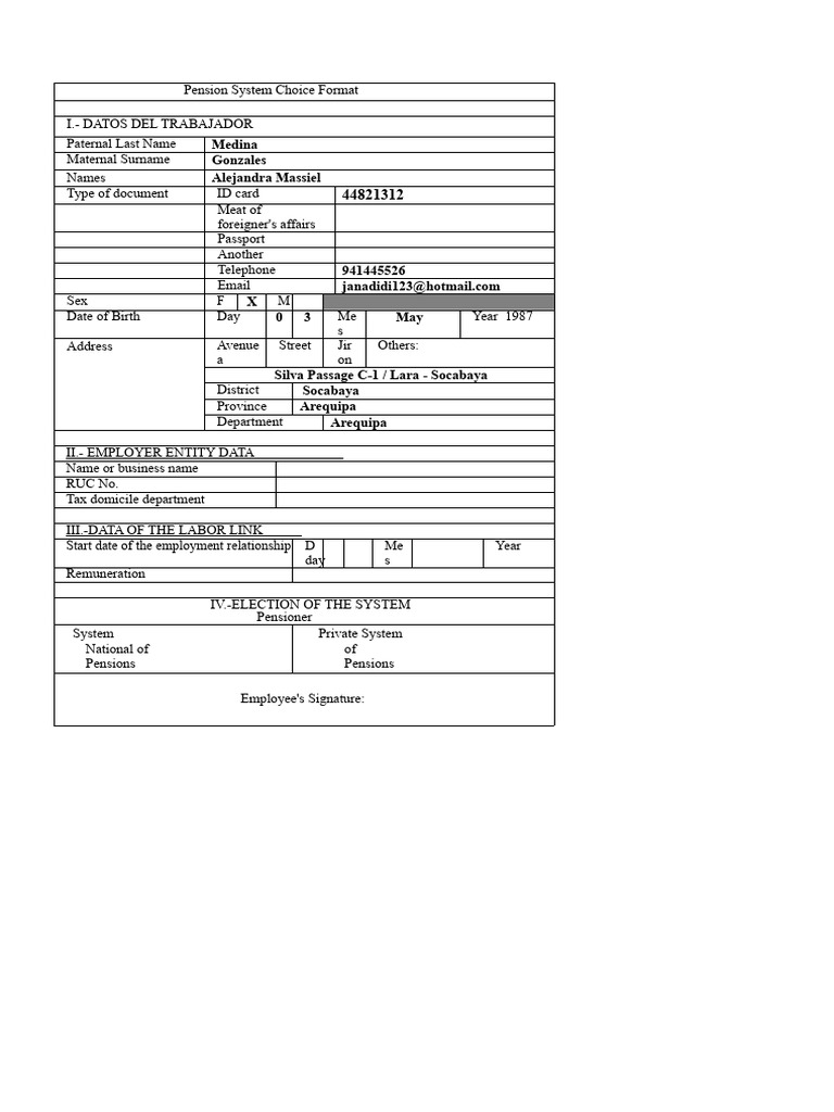Pension System Election Format | PDF