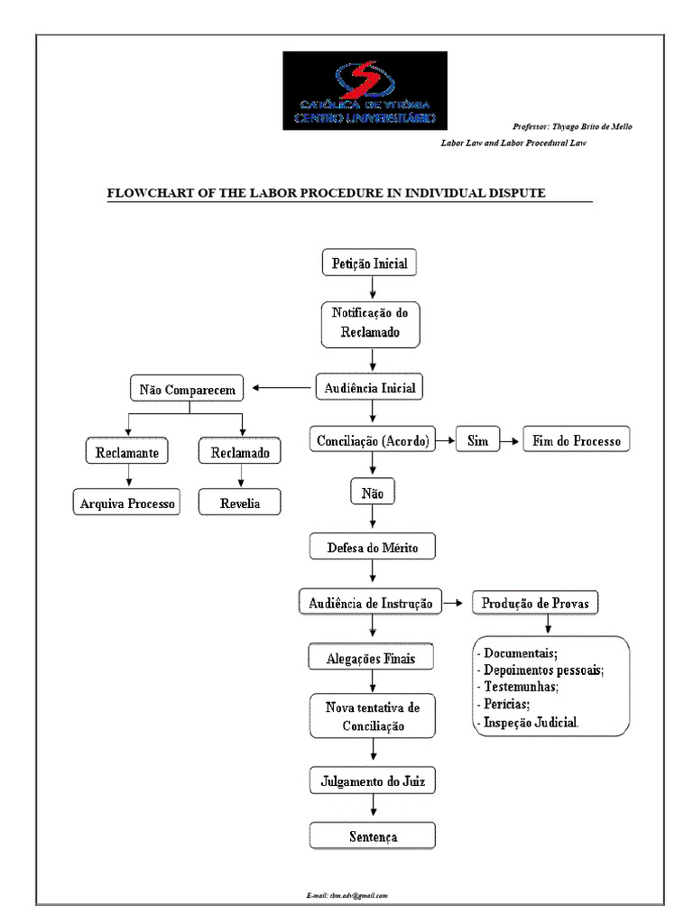 Labor Procedure Flowchart Guide | PDF