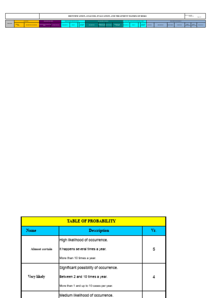 Basc Risk Matrix | PDF | Risk | Risk Management
