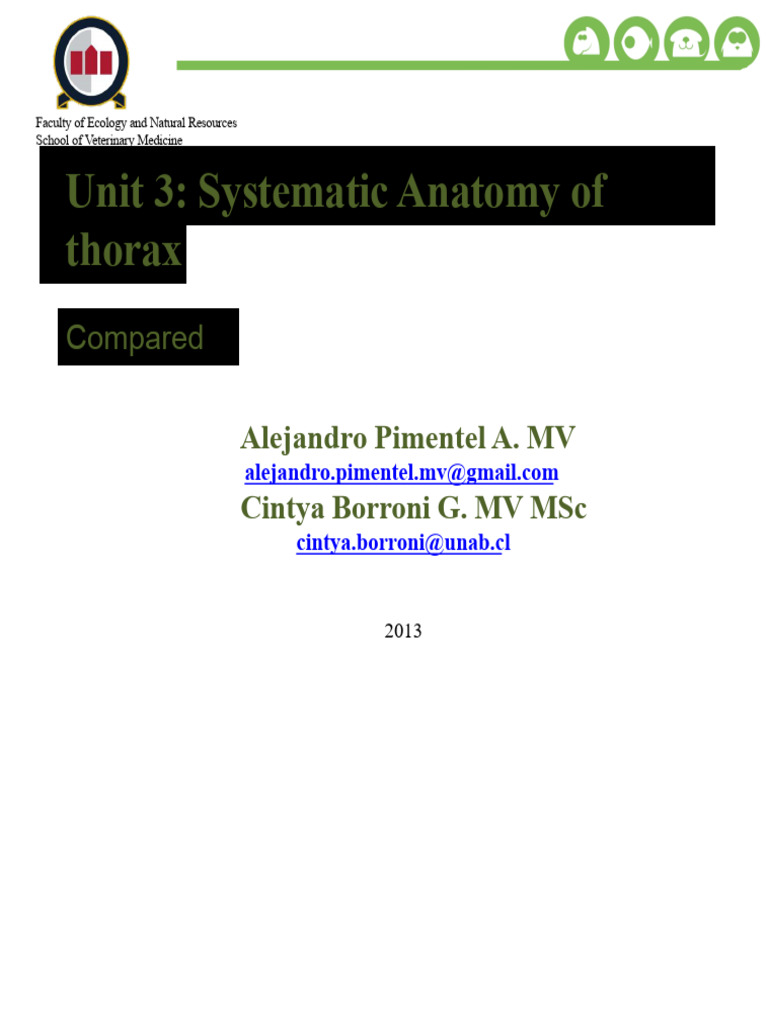 Thorax Comparison | PDF | Thorax | Lung