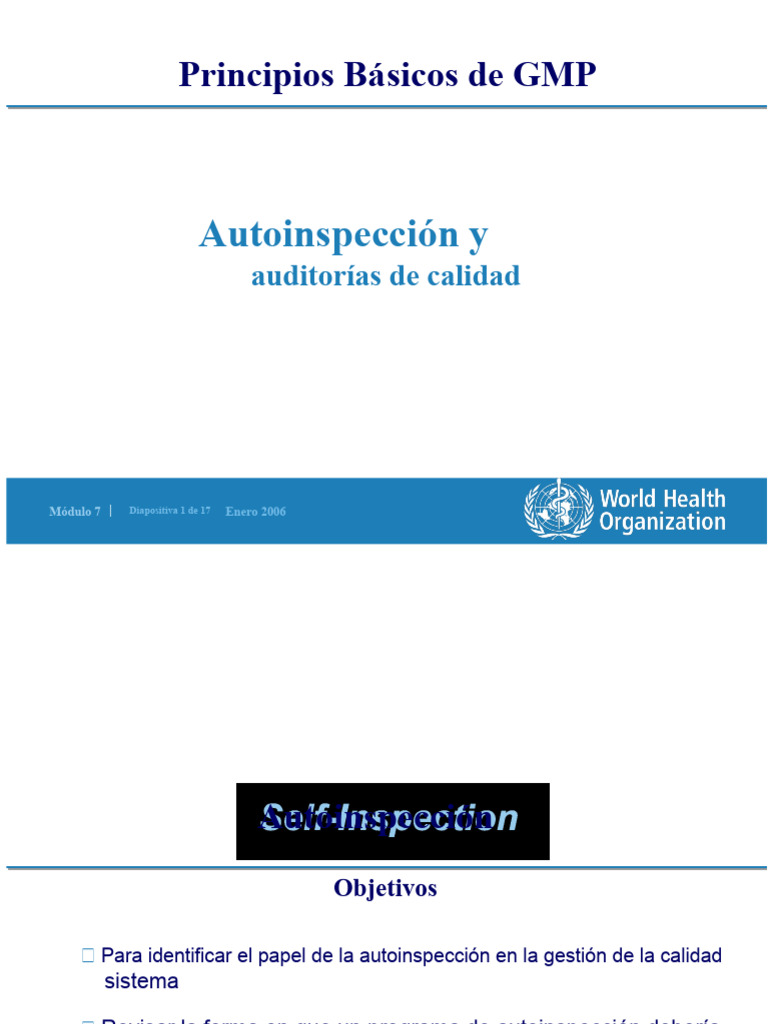 Autoinspección en GMP: Guía Práctica | PDF | Auditoría