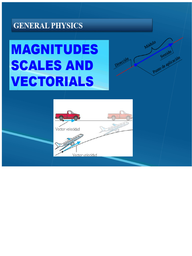 Scalars and Vectors | PDF | Euclidean Vector | Geometry