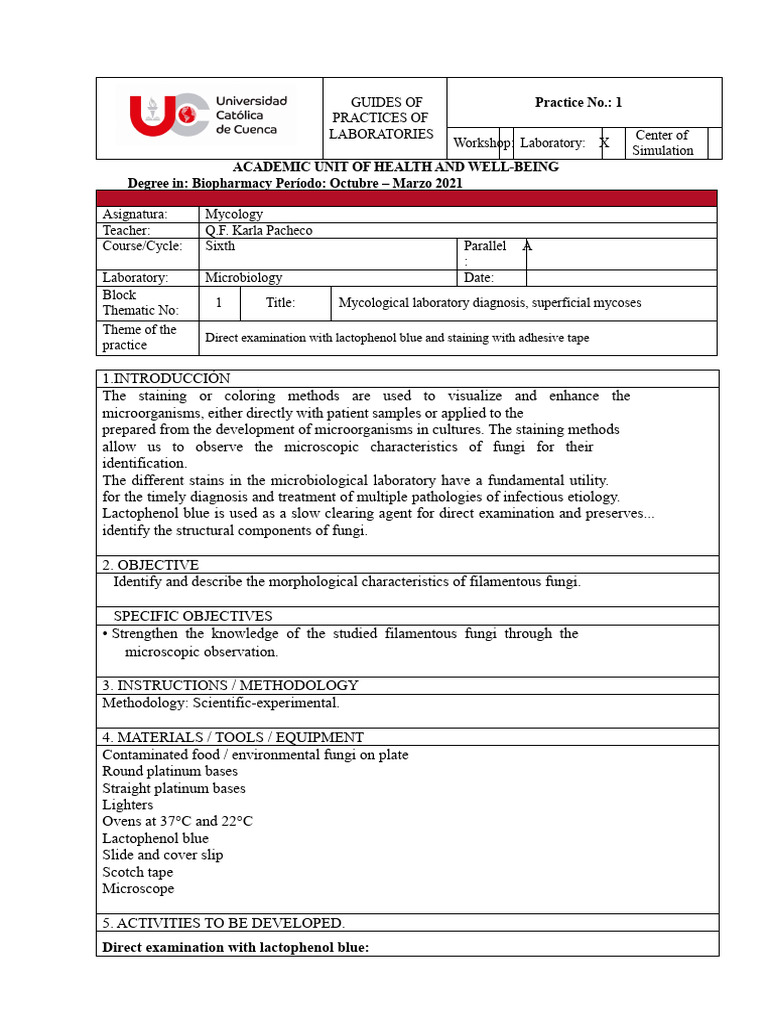 Report Practice 2 Mycology Direct Technique and Scotch Tape | PDF ...