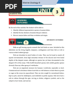 Overview of Batomorphi Classification | PDF | Vertebrates | Elasmobranchii