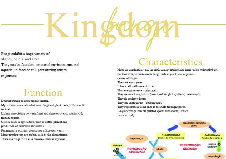 Fungi Kingdom - Mind Map | PDF