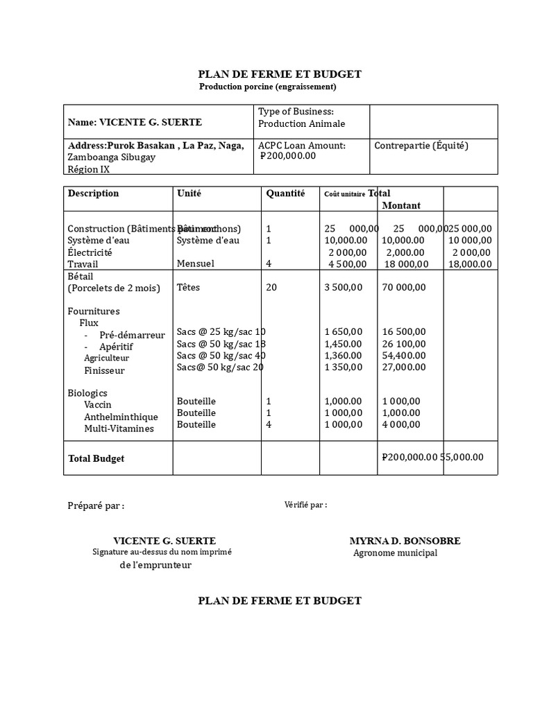 Plan de Ferme Et Budget 2021 | PDF | Cochon | Agriculture