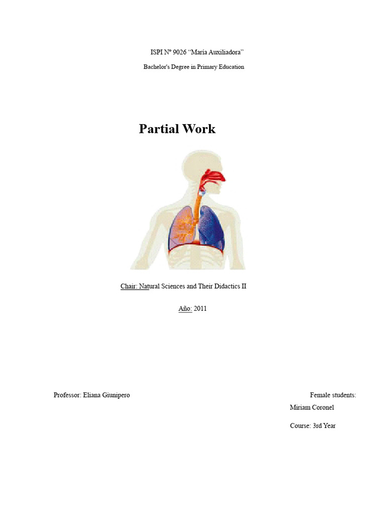Plan+respiratory System+3rd Grade | PDF | Exhalation | Breathing