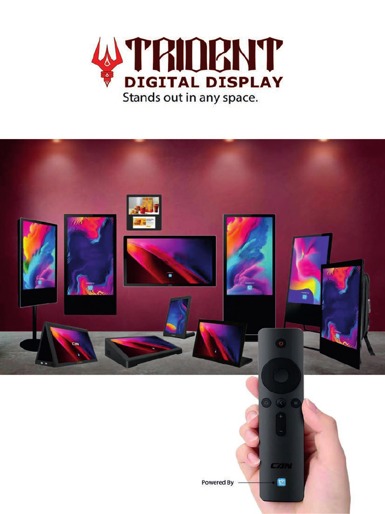 TRIDENT DD-Catalog24 | PDF