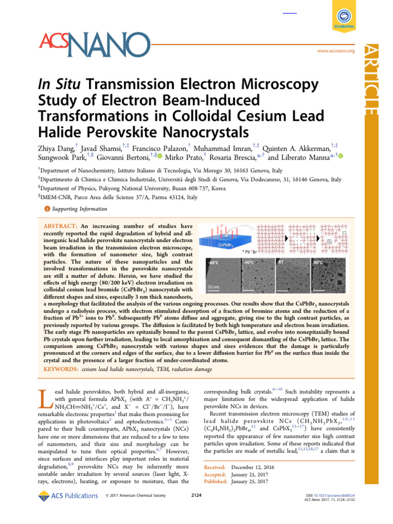 In Situ Transmission Electron Microscopy Study of Electron Beam-Induced ...