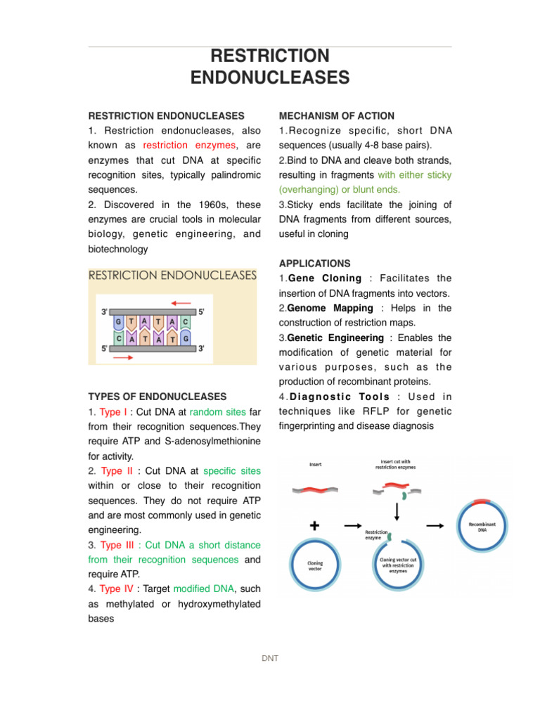 Restriction Endonuclease LEC MIDTERM | PDF | Restriction Enzyme ...