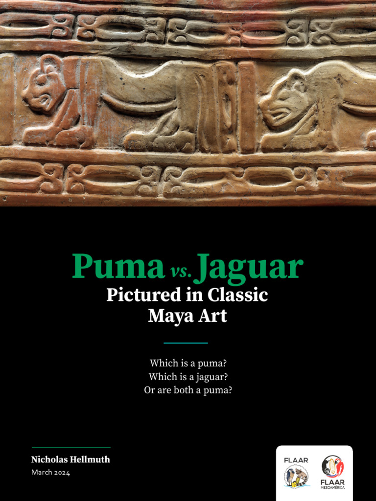 Puma Vs Jaguar Pictured in Classic Maya | PDF | Maya Civilization | Cougar