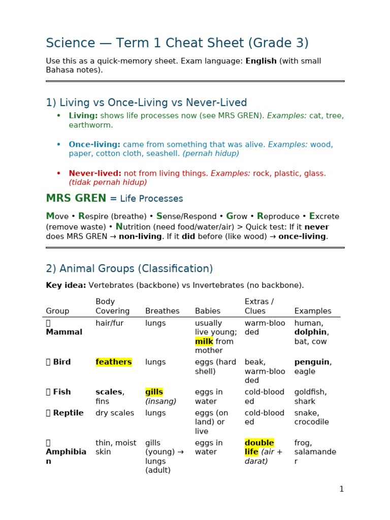 Grade 3 Science Cheat Sheet | PDF | Insects | Butterfly