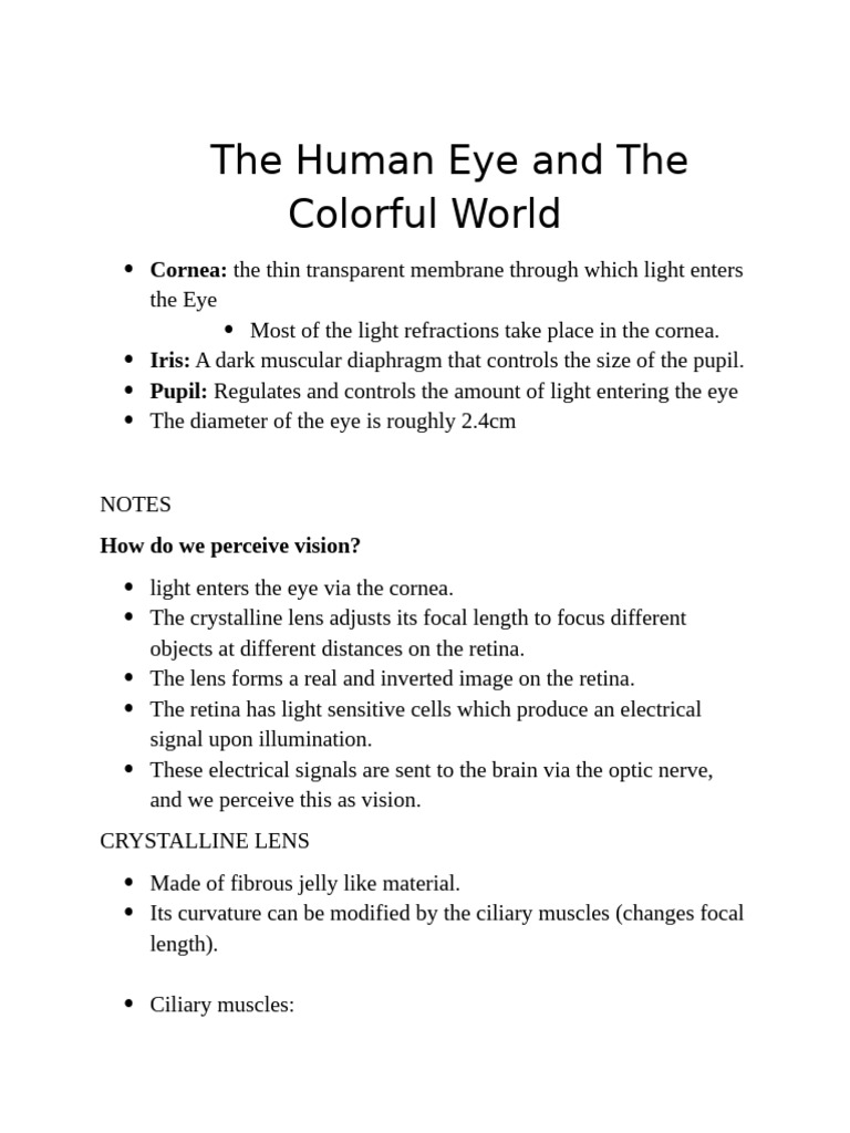 Understanding the Human Eye and Vision | PDF | Eye | Sunset