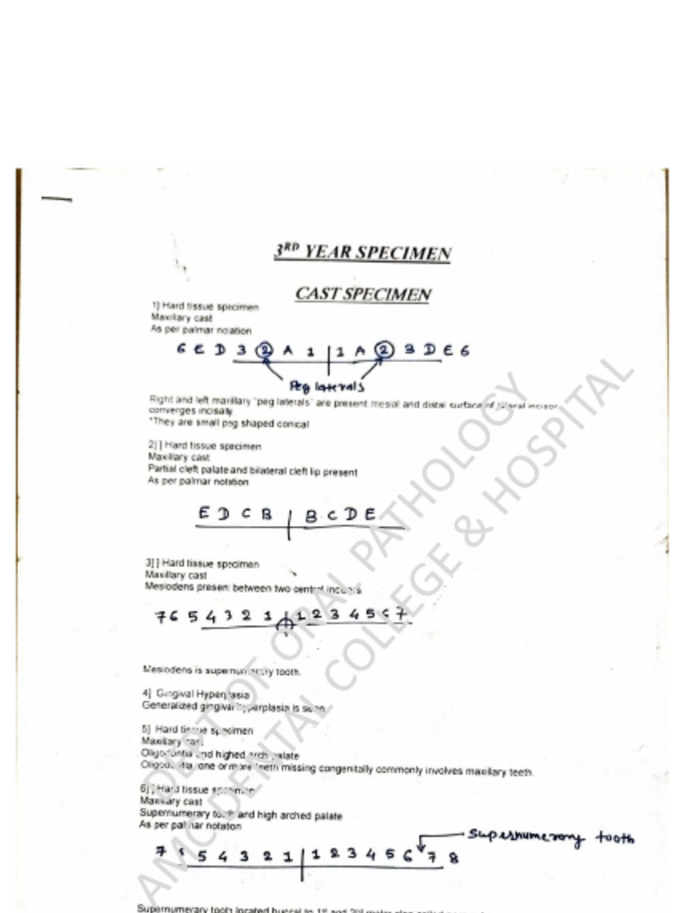 Cast Specimen - Rotated 2 | PDF