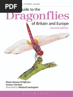 UK Gull Identification Guide | PDF | Gull | Birds