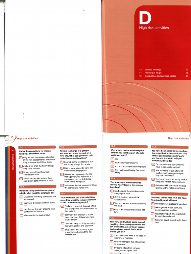 Section D - High Risk Activities | PDF