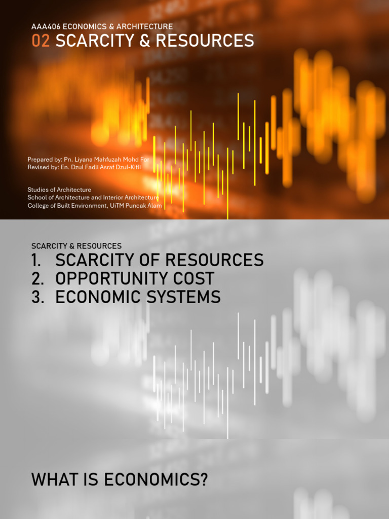 Economics of Scarcity in Architecture | PDF | Economic System | Economics