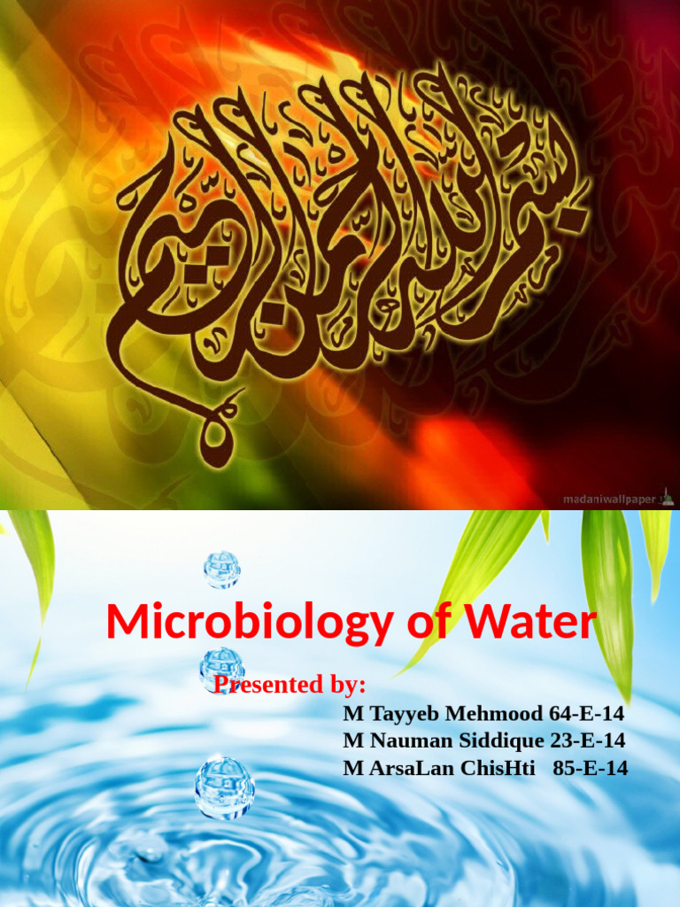 Microbiologyofwater 170326114356 | PDF | Pathogen | Water