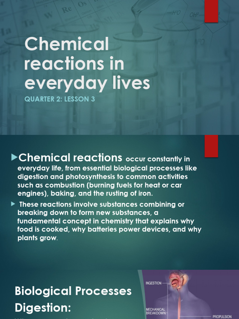 Everyday Chemical Reactions Explained | PDF