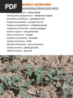 Dendrologija | PDF