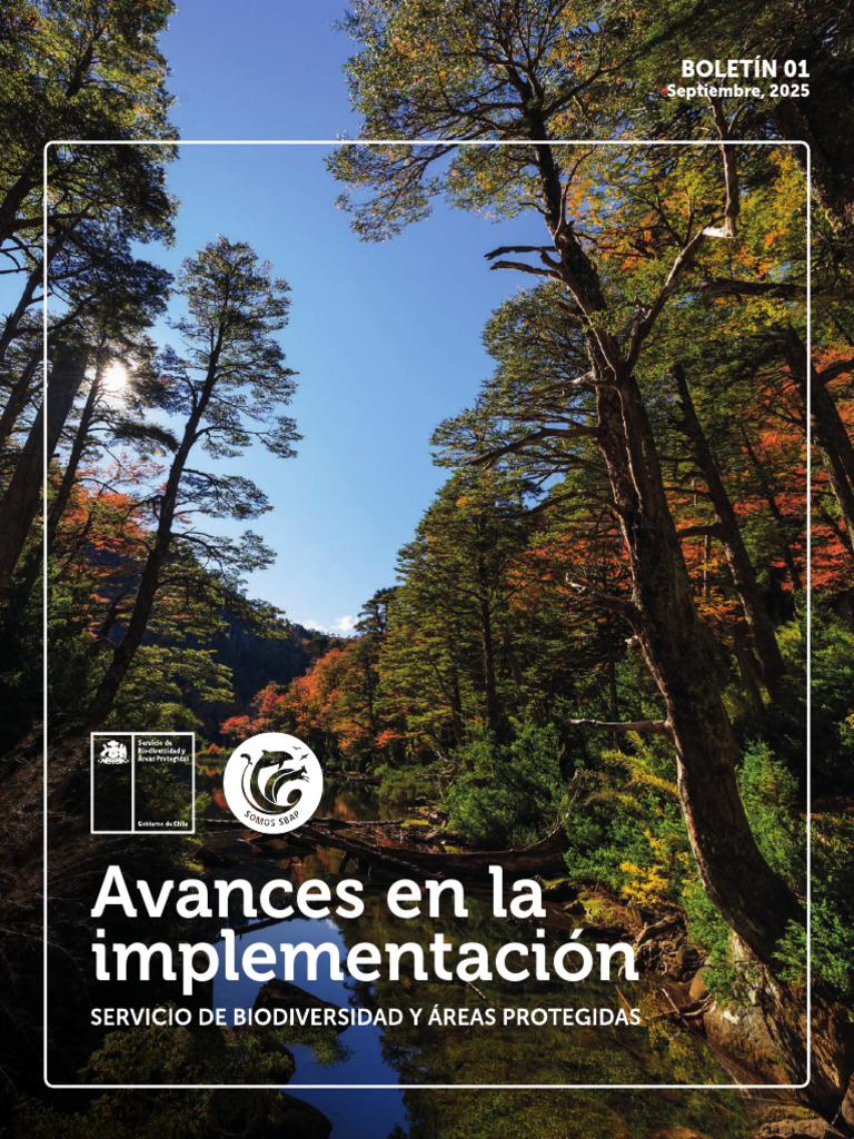 Avances en Implementación del SBAP | PDF | Biodiversidad | Presupuesto