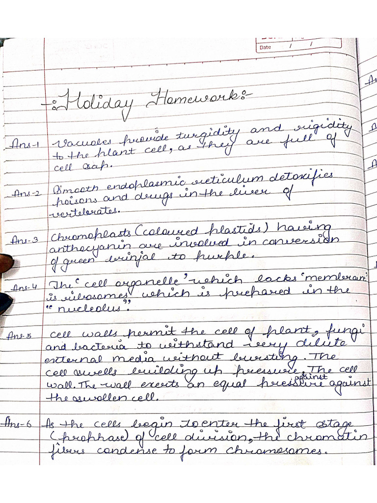 Biology Holiday Homework | PDF