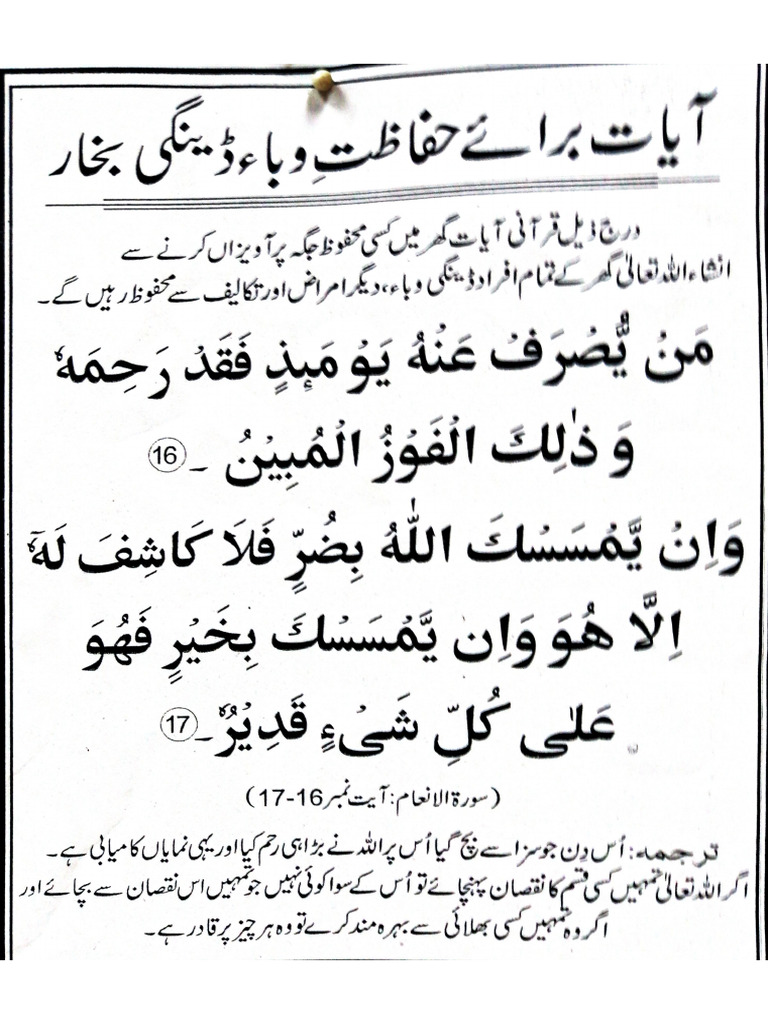 Dengi Fever Dua | PDF