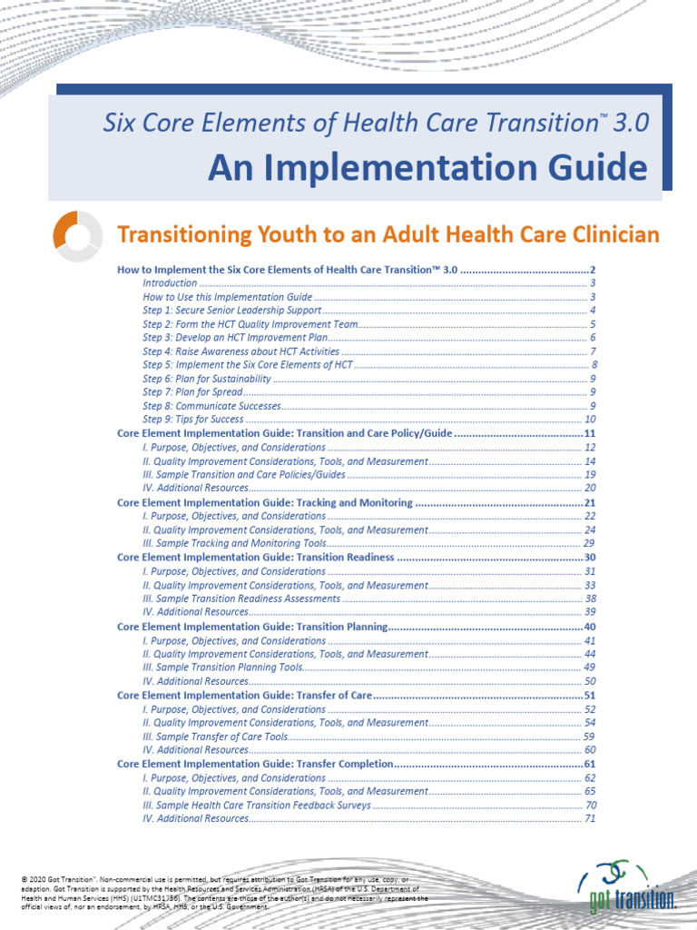 Transitioning Youth To An Adult Health Care Clinician | PDF | Policy ...