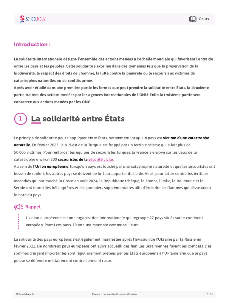 Solidarité internationale : enjeux et actions | PDF | Organisation non ...