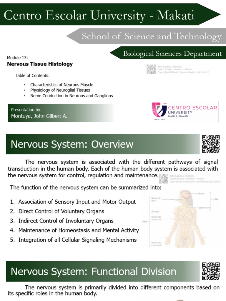 Histo | PDF | Central Nervous System | Nervous System