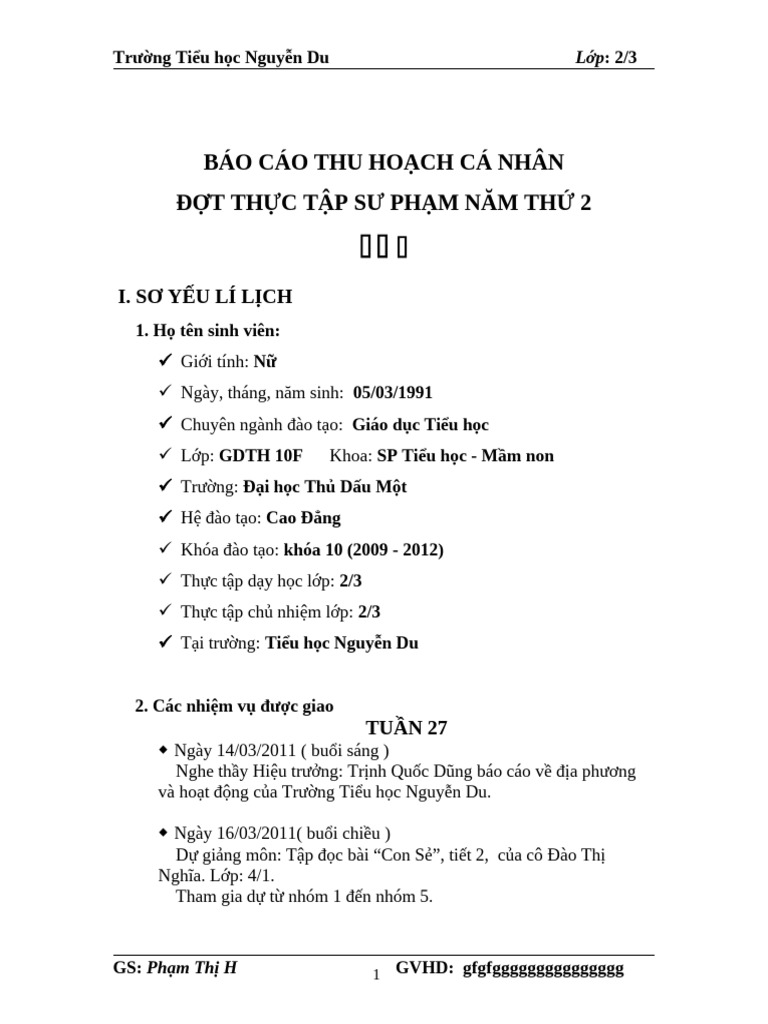 Bao Cao Thuc Tap Su Pham Tieu Hoc | PDF