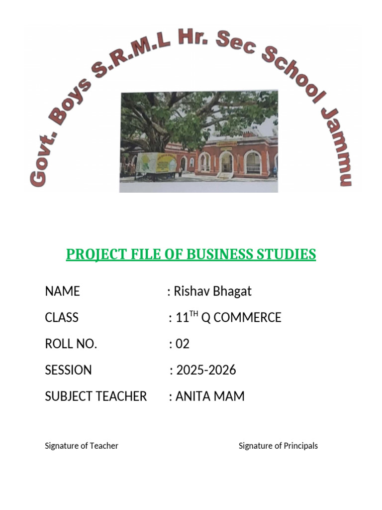 Business Studies Project File 2025-2026 | PDF