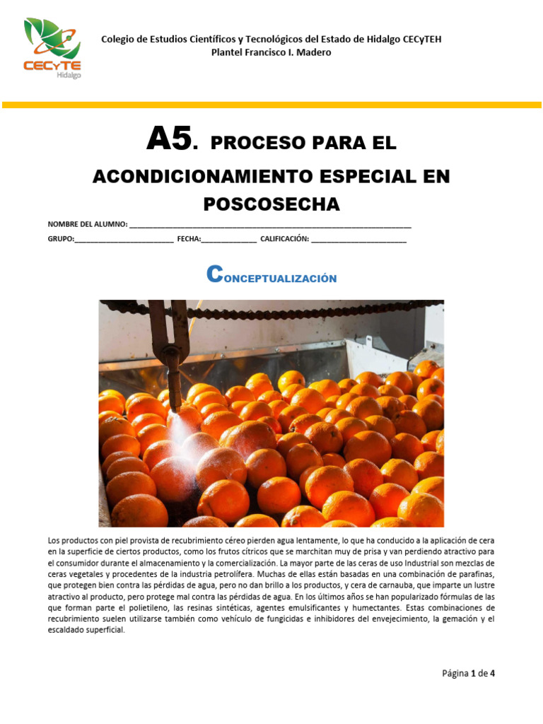 A5. PROCESO PARA EL ACONDICIONAMIENTO ESPECIAL EN POSCOSECHA | PDF | Fruta | Vegetales
