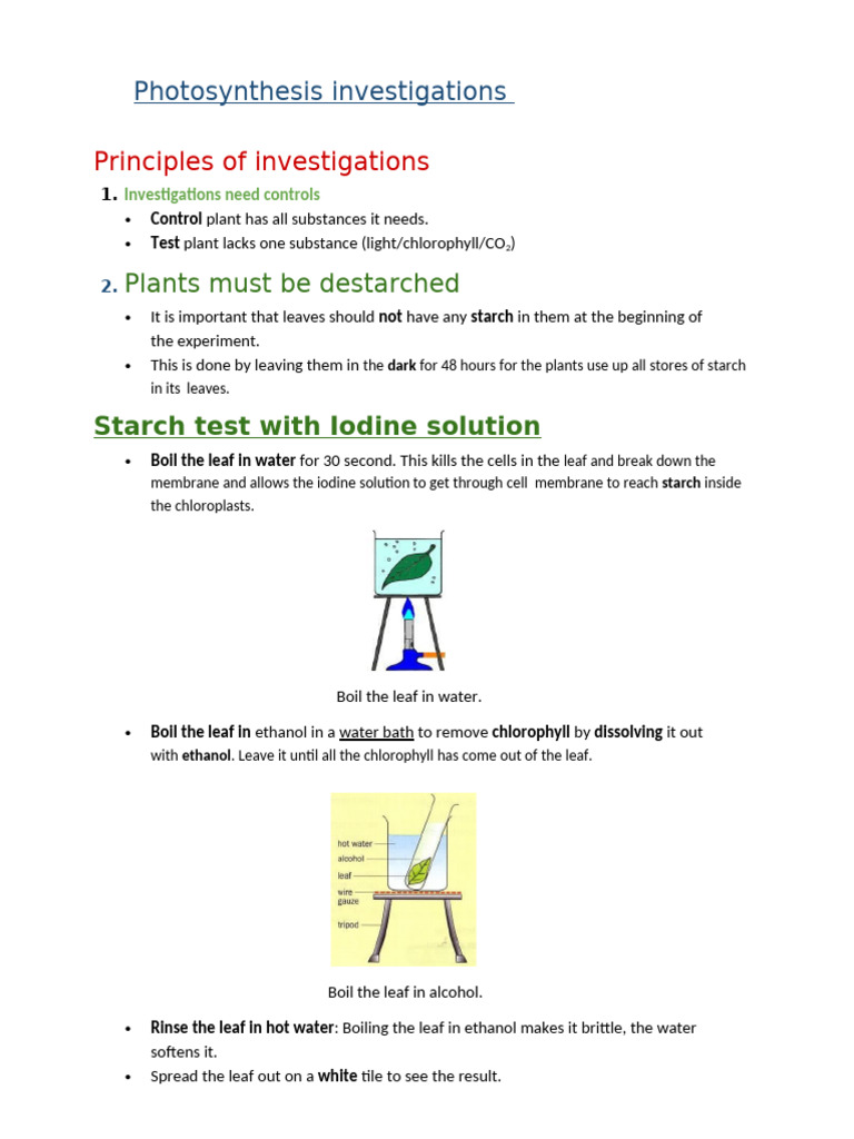 Photosynthesis Investigation Techniques | PDF | Photosynthesis | Carbon ...