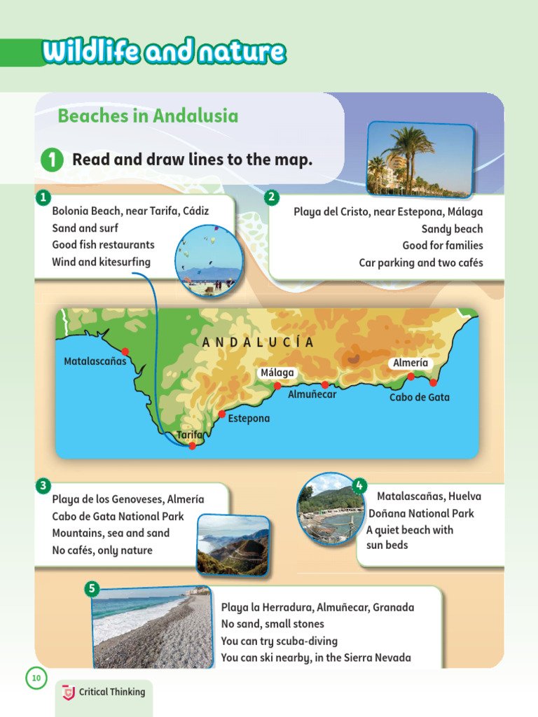 Wildlife and Nature - Beaches in Andalusia | PDF | Coastal Geography ...