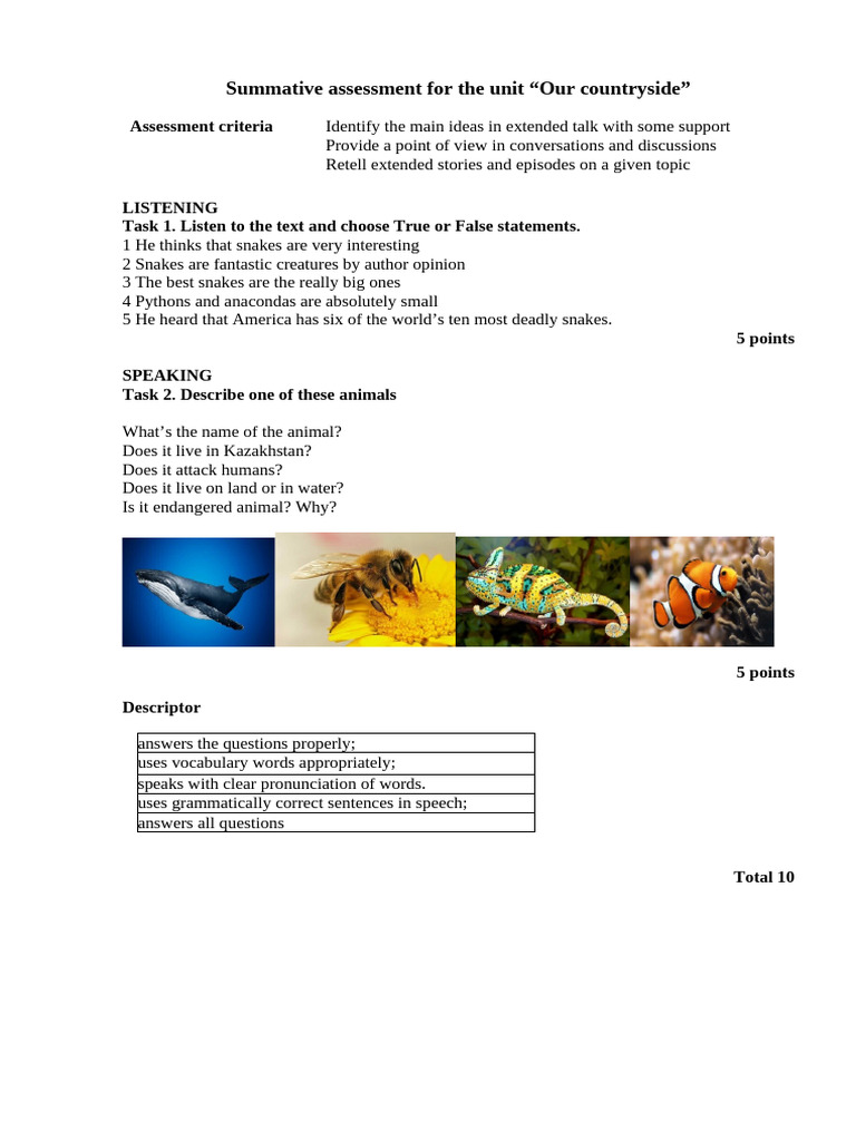Summative Assessment for the Unic Countryside[1] | PDF | Learning | Human Communication