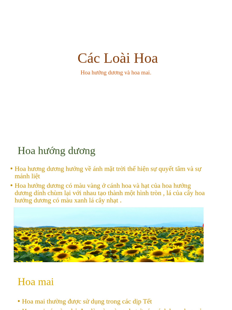 Các Loài Hoa | PDF