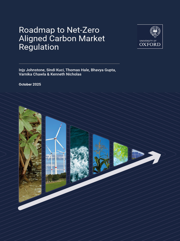 Net-Zero Aligned Carbon Market Regulation | PDF | Climate Change ...