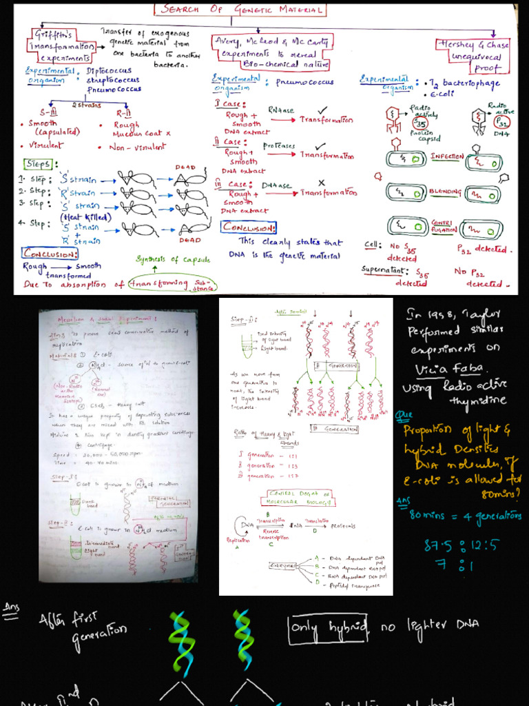 6 Search of Genetic Material Messelson Exp Central Dogma and ...